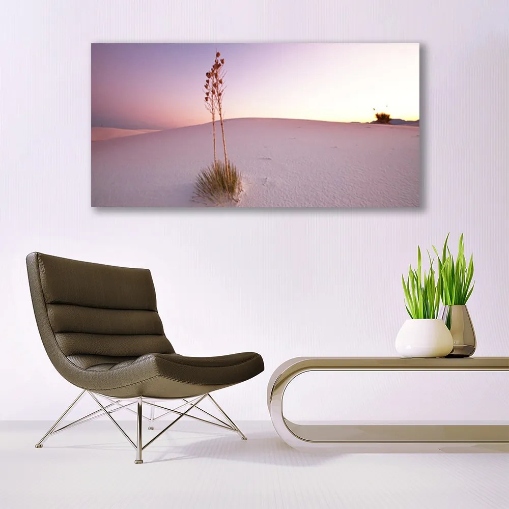 akrylový obraz Poušť Písek Krajina 120x60 cm