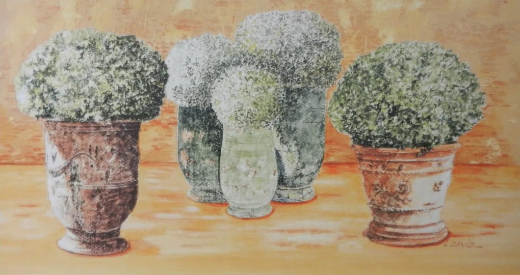 ART-STYLE Obrázek 27x50, buxus I., rám bílý s patinou