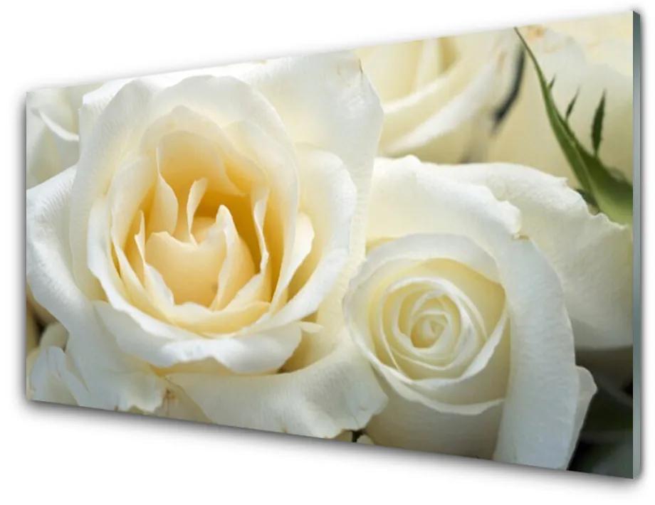 akrylový obraz Růže Květiny 140x70 cm