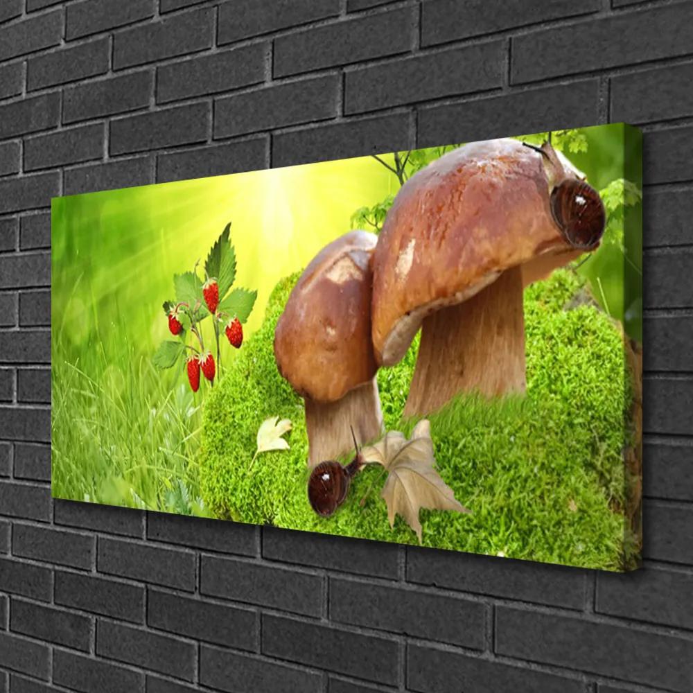 Obraz na plátně Houby Divoké Jahody 120x60 cm