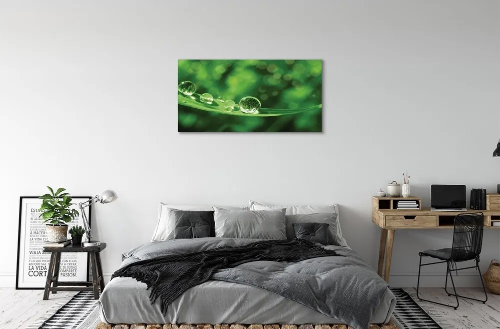 Obrazy na plátně Vodní kapky makro 125x50 cm