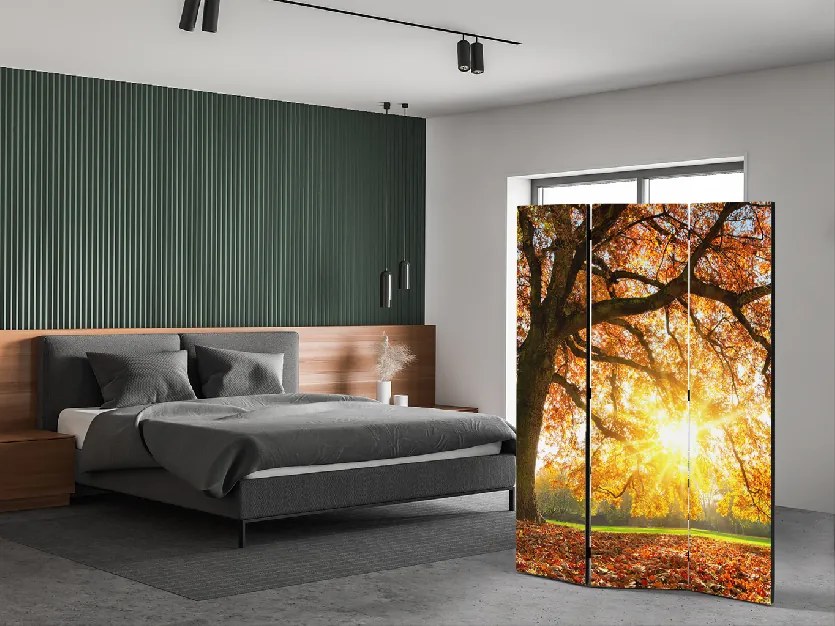 Paraván strom v západu slunce Rozměr: 135 x 180 cm