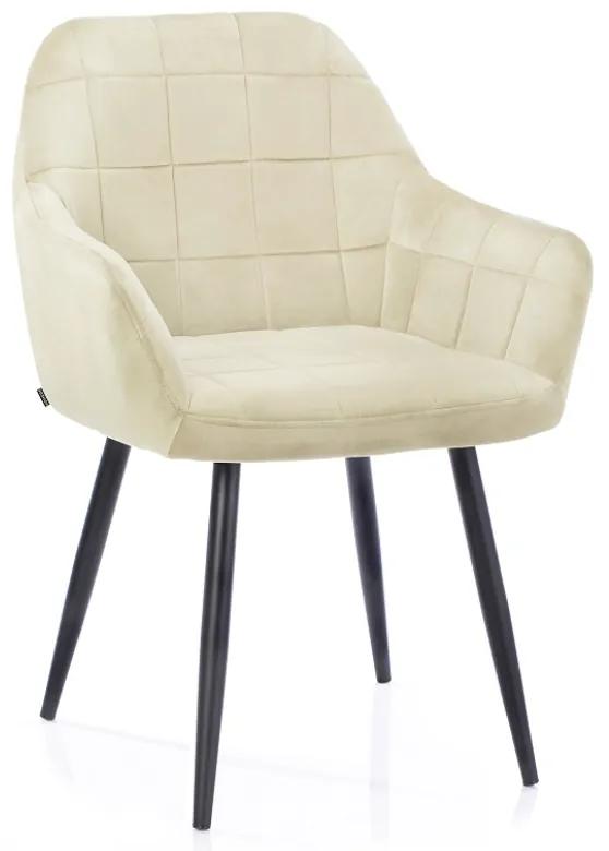 Čalouněná židle 56x45x84cm, více barev Barva: hořčicová