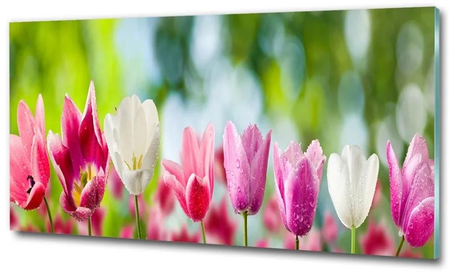 Wallmuralia Fotoobraz na skle Tulipány 100x50