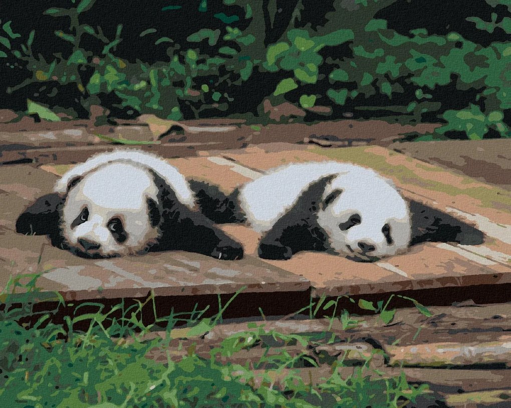 zuty zuty - malování podle čísel - panda ležící na dřevě, 80x100 cm, plátno+rám
