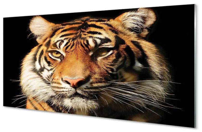 Obraz na skle Tygr 100x50 cm