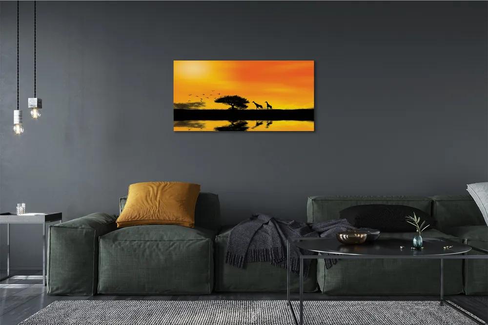 Obrazy na plátně Žirafy tree west lake 125x50 cm