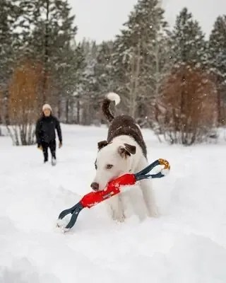 Ruffwear Pacific Loop Sockeye Red 52cm / Hračka pro psy