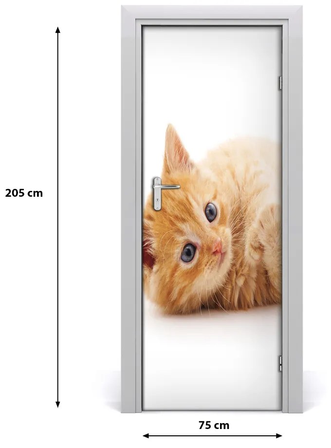 Samolepící fototapeta na dveře Malá rudá kočka 75x205 cm