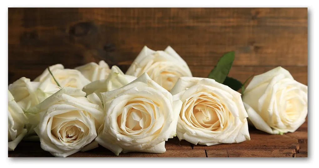 Foto obraz akrylový do obýváku Bílé růže