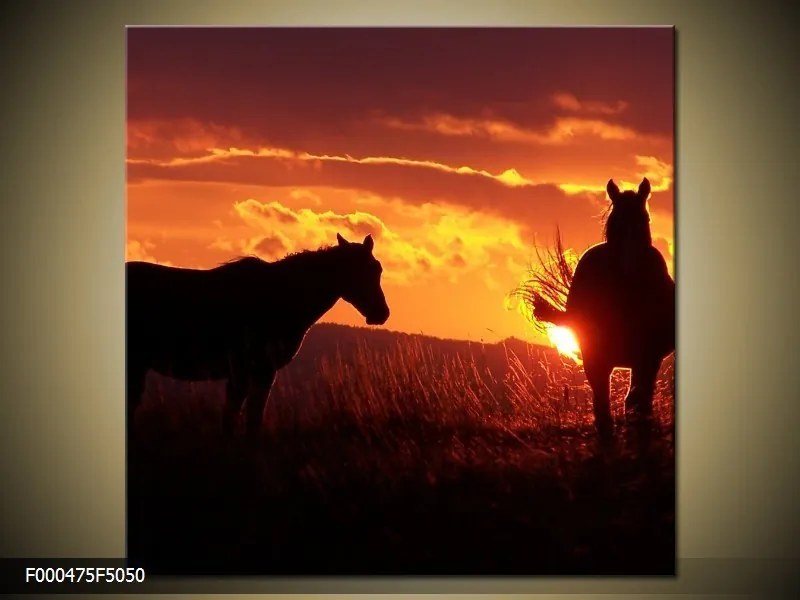 Obraz na plátně Koně v zapadajícím slunci, Čtverec 50x50cm 842 Kč
