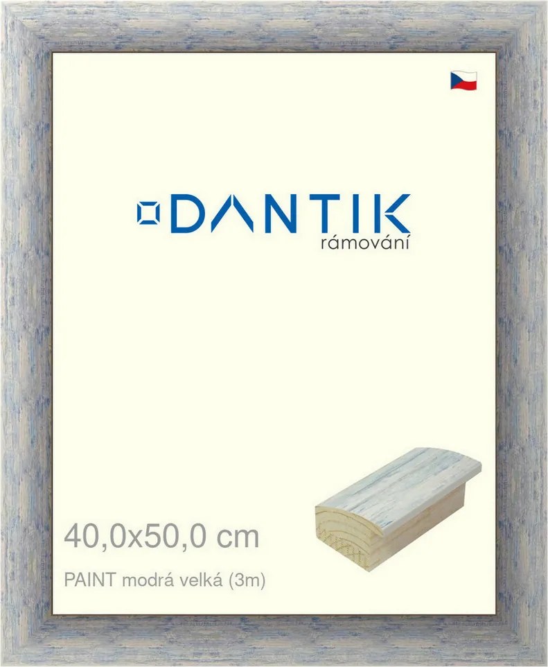 DANTIK rámeček 40x50 | PAINT modrá velká (Sklo Čiré)
