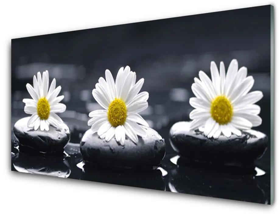 akrylový obraz Sedmikráska Kameny Rostlina 140x70 cm
