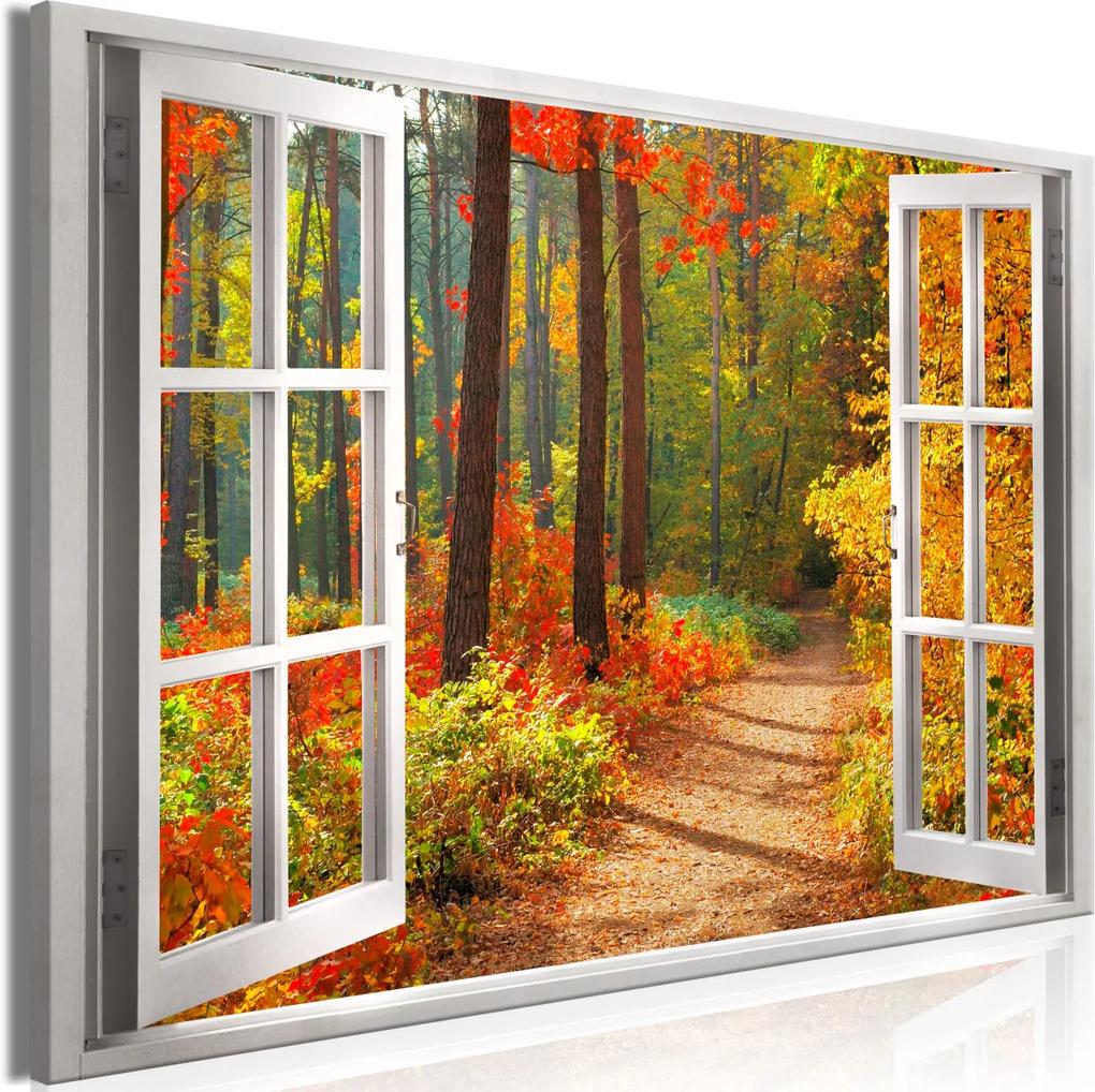 Obraz 3D okno slunný podzim + háčky, hřebíčky ZDARMA Velikost (šířka x výška): 105x70 cm