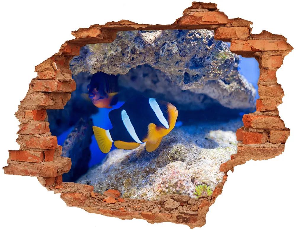 Wallmuralia Díra 3D fototapeta nálepka Tropická ryba 90x70 cm