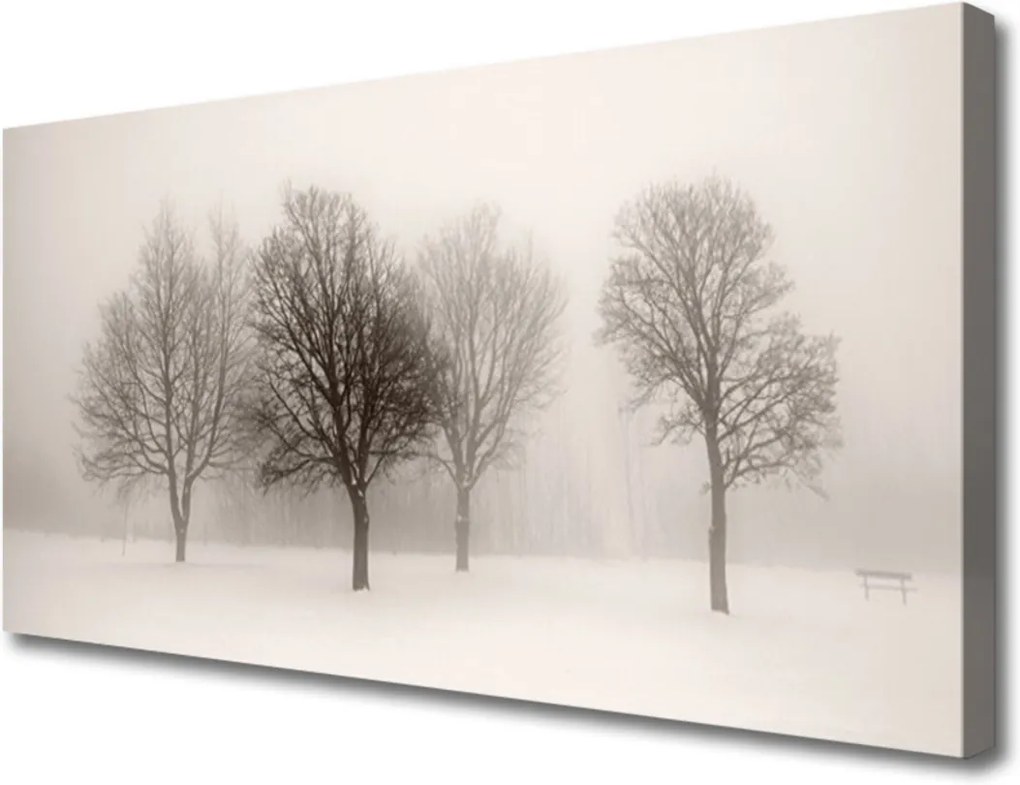 Obraz Canvas Sníh Stromy Krajina