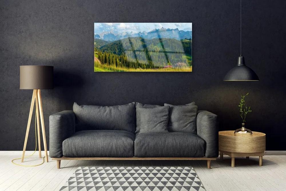 Obraz na skle Hora Les Příroda 140x70 cm