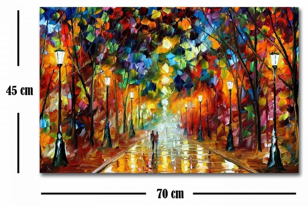 Reprodukce obrazu Leonid Afremov 70x45 cm