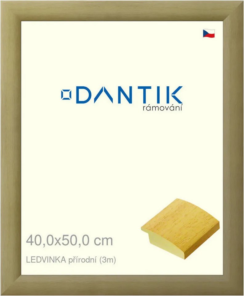DANTIK rámeček 40x50 | LEDVINKA přírodní (Sklo Čiré)