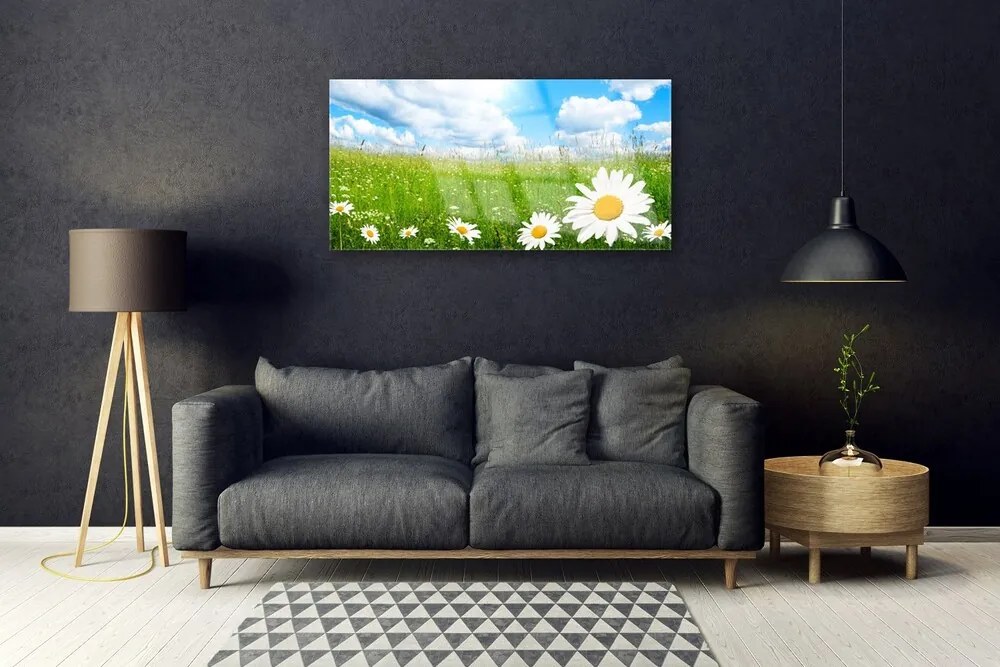 akrylový obraz Sedmikráska Tráva Příroda 100x50 cm