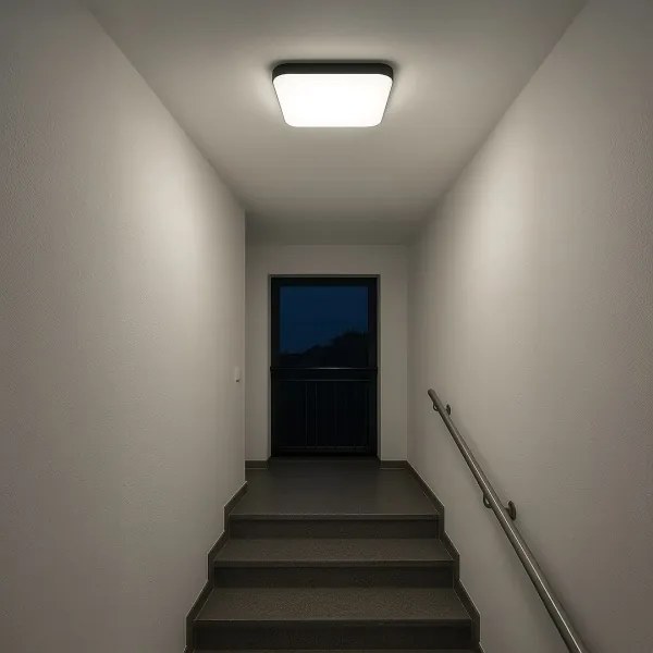 LED Stropní svítidlo NEMO LED/36W/230V 50x50 cm černá