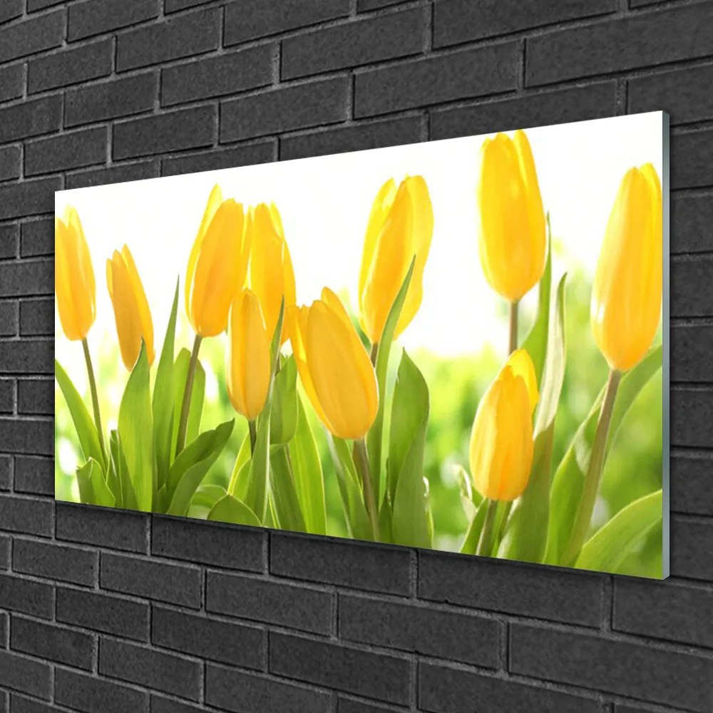 Obraz na skle Tulipány Květiny Rostlina 100x50 cm