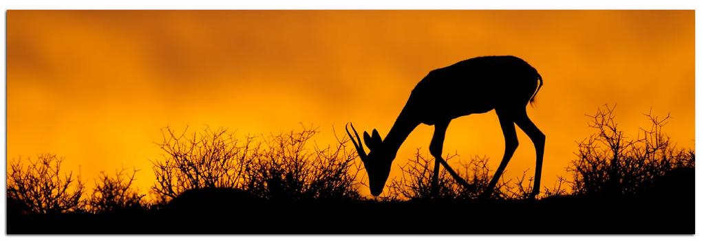 Obraz na plátně - Antilopa skákavá silueta - panoráma 5913A (120x45 cm)