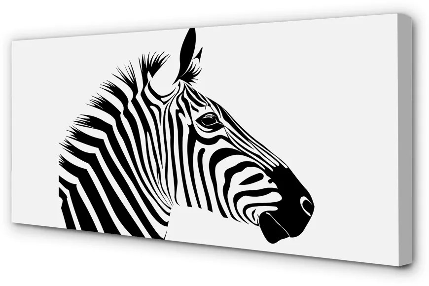 Obrazy na plátně Ilustrace zebra 100x50cm
