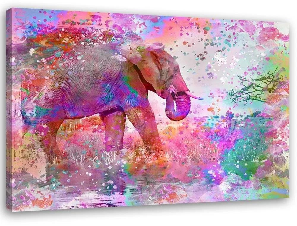 Gario Obraz na plátně Barevný slon - Andrea Haase Rozměry: 60 x 40 cm