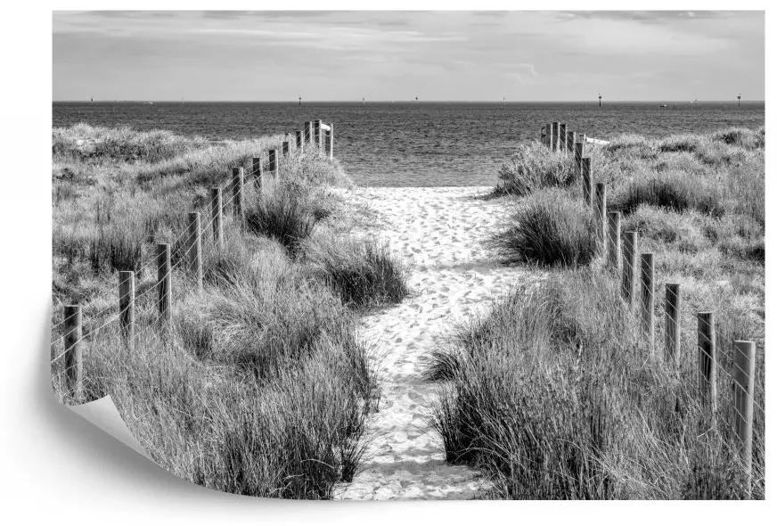 Fototapeta Pojďme Dolů Na Pláž Black &amp;amp; White Samolepící tapety 104x70.5
