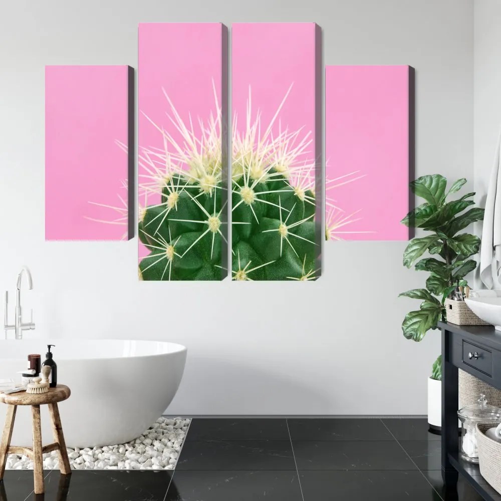 Vícedílný obraz Kaktus Na Růžovém Pozadí Nedostatek Nedostatek Plátno Canvas 80x60