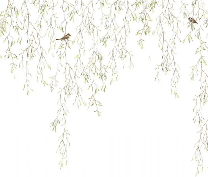 Vliesová tapeta Mr Perswall - Spring birds 360 x 265 cm