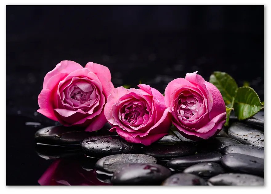 Wallmuralia Foto-obrah sklo tvrzené Růžové růže 100x70 cm