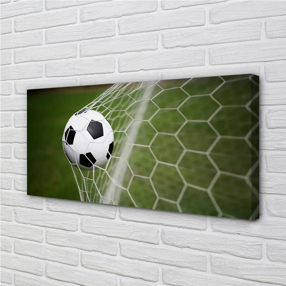 Obrazy na plátně Fotbal 100x50 cm