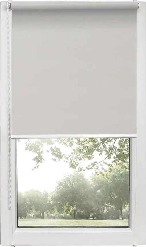 Roleta na okno - Decor D01 Barva ovládání: Hnědá, šířka: 60, výška: 150