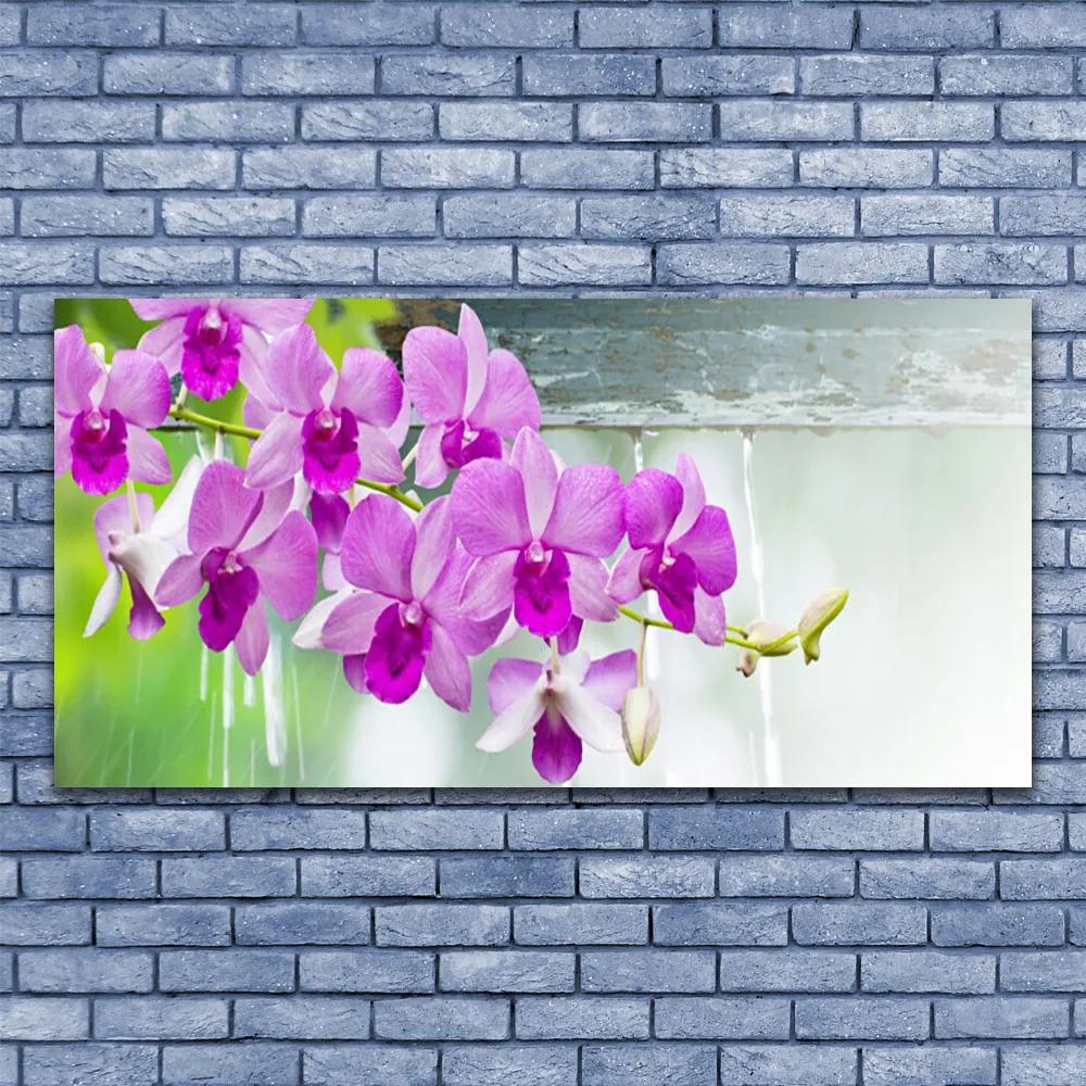Plexisklo-obraz Orchideje Kapky Příroda 120x60 cm