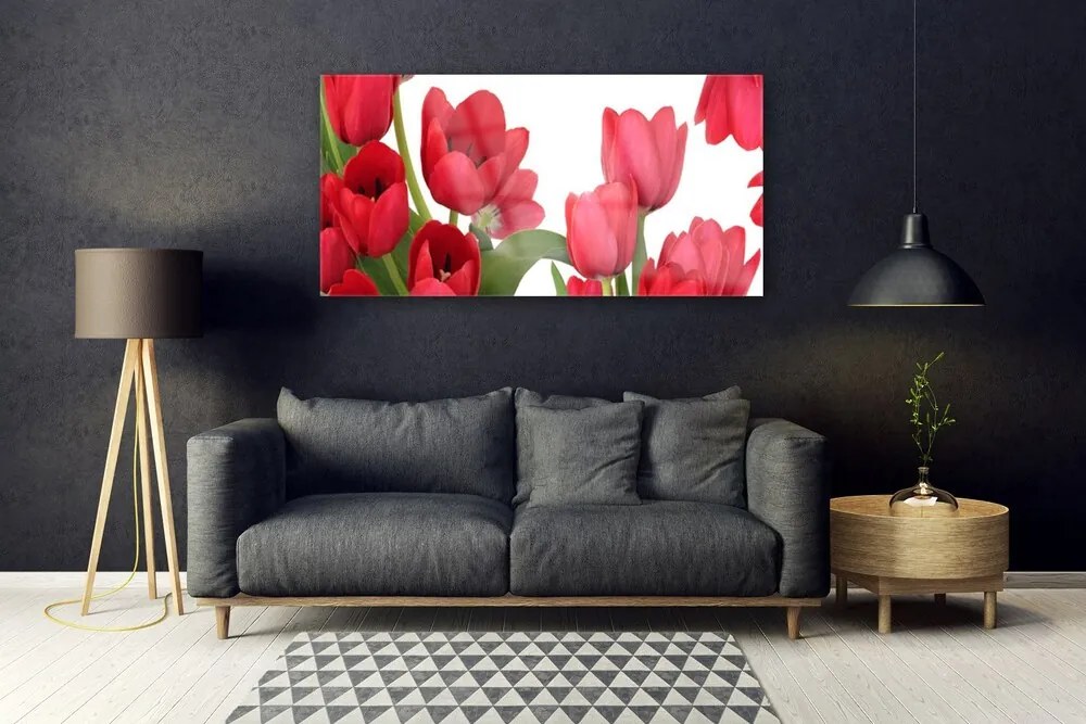 akrylový obraz Tulipány Květiny Rostlina 120x60 cm