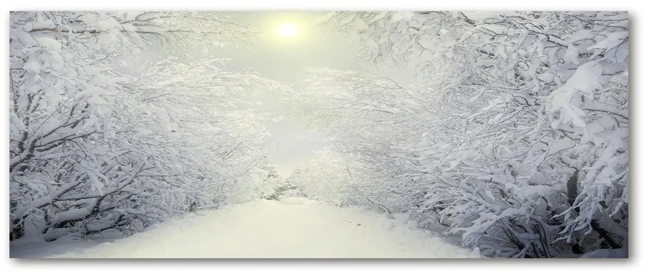 Wallmuralia Foto obraz akrylové sklo Hezký zimní les 125x50 cm