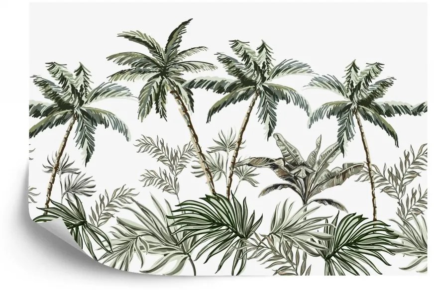 Fototapeta Palmy A Tropické Rostliny Omyvatelný vlies 270x180