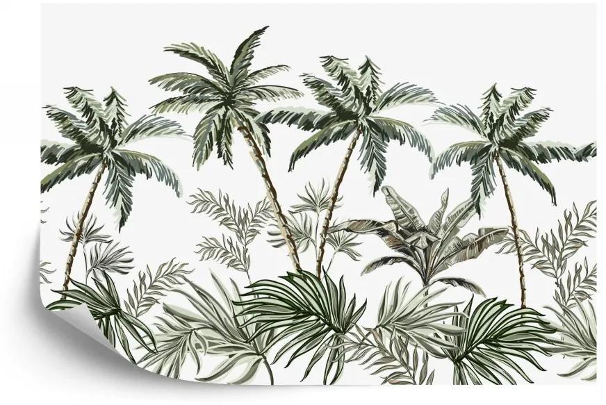 Fototapeta Palmy A Tropické Rostliny Samolepící tapety 254x184