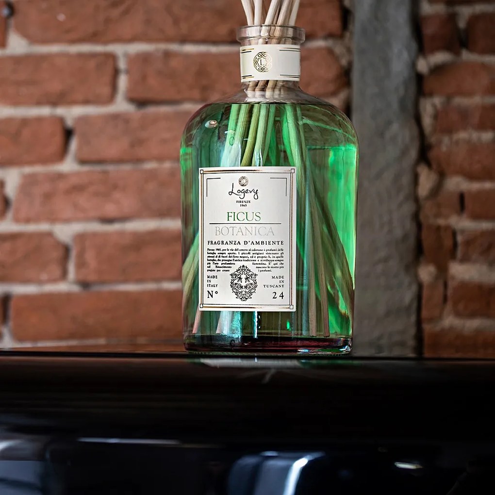 Logevy Firenze 1965 difuzér Ficus Botanica Objem: 1 l