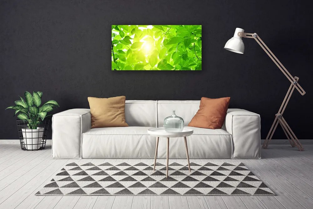 Obraz na plátně Listy Příroda Slunce Rostlina 140x70 cm