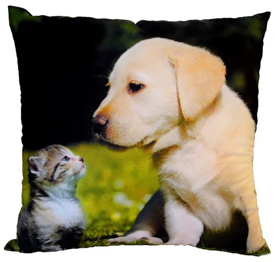 Dadka Fotopolštářek Kotě a štěně na trávě 40x40 cm