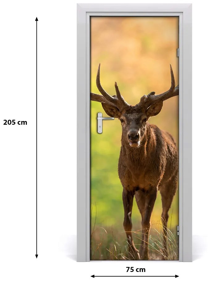 Fototapeta samolepící na dveře jelen v lese 75x205 cm
