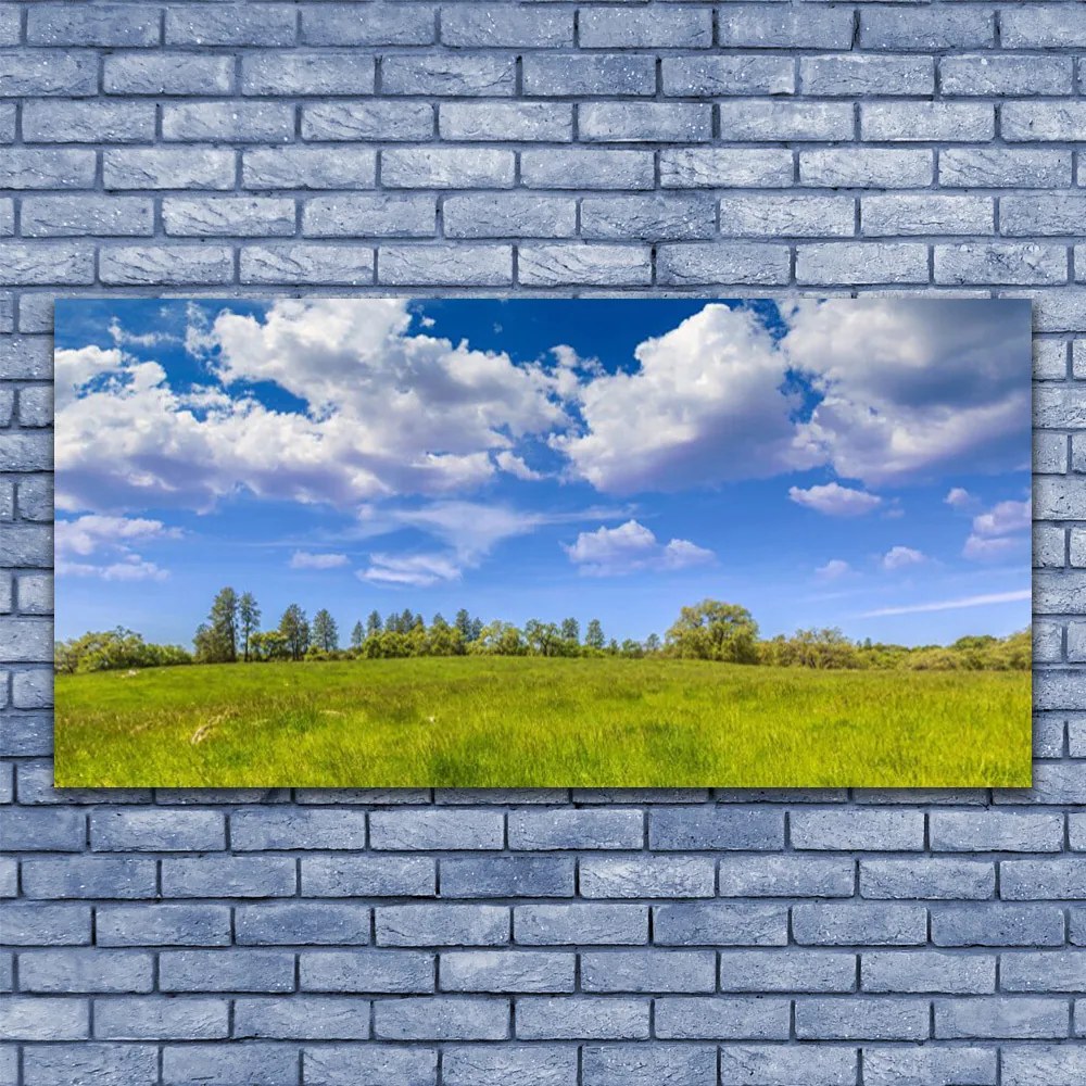 akrylový obraz Louka Tráva Nebe Krajina 120x60 cm