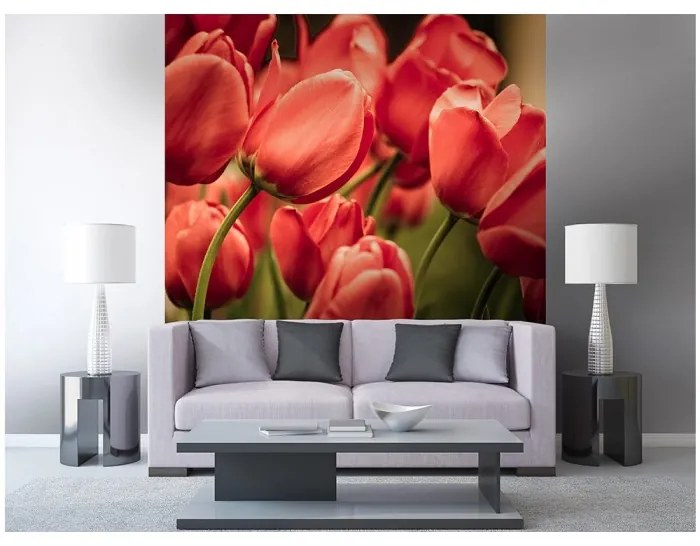 DIMEX | Vliesová fototapeta na zeď Červené tulipány MS-3-0128 | 225 x 250 cm | červená, zelená