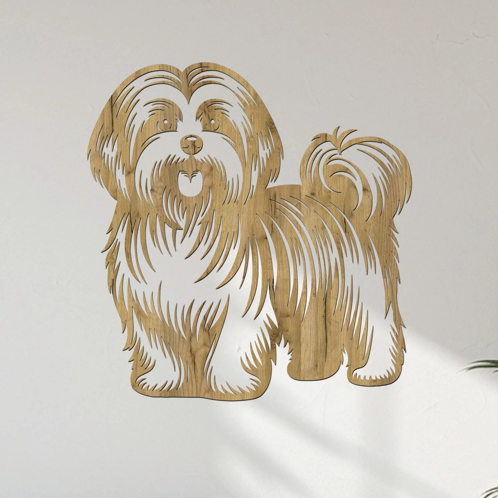 dřevo života Dřevěný obraz Havanský psík (Havanese) Zvolte rozměr (cm): 38x40, Zvolte barvu dekoru: Černá