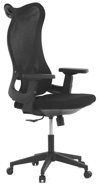 Ergonomická kancelářská židle SOSA - černá síťovina Barva: černá