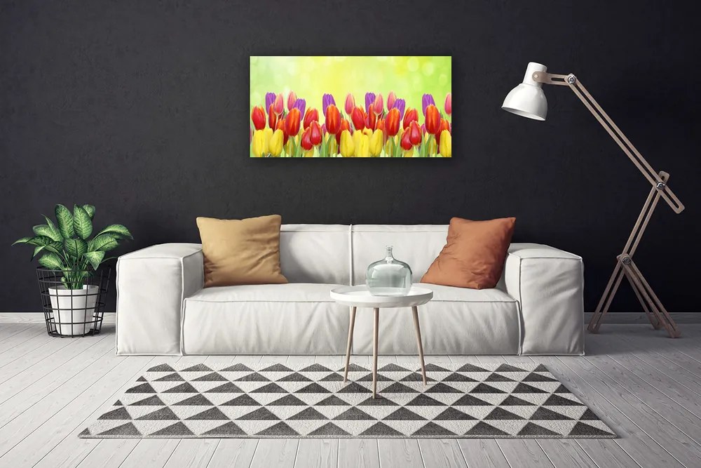 Obraz na plátně Tulipány Květiny Rostlina 120x60 cm