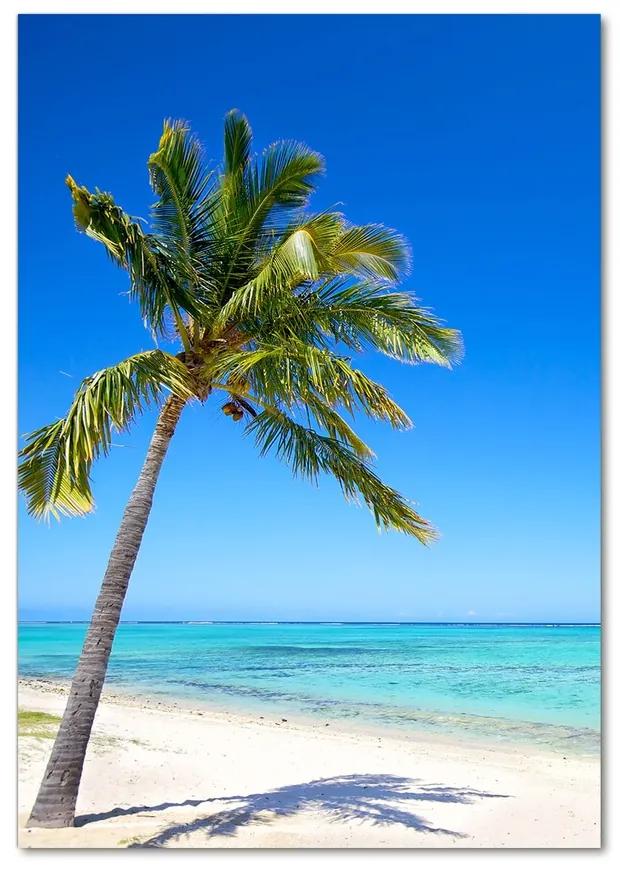 Wallmuralia Foto obraz skleněný svislý Tropická pláž 70x100 cm